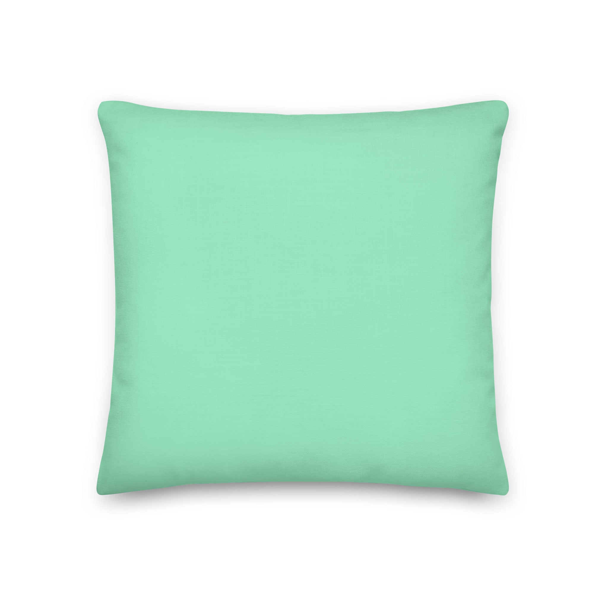 Frosted Jade Kussentje – Pauw Coatings